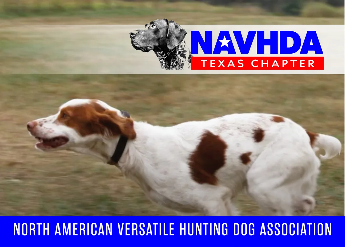 Breeders of Versatile Hunting Dog Recognized Breeds in Texas